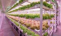 China Container Farming Lighting System with Estimated Delivery Time and Low Shipping Cost for sale