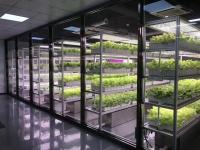 China Container Farming Lighting System with Estimated Delivery Time and Low Shipping Cost for sale