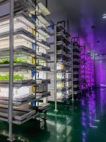China Container Farming Lighting System with Estimated Delivery Time and Low Shipping Cost for sale