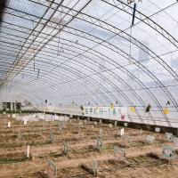 China Full Payment Single Layer Hydroponics Flower Sunlight Greenhouse for Your Initial Payment for sale