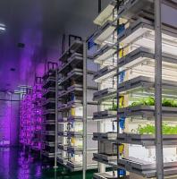China US 9.99/Piece JX-H0032 Vertical Hydroponic Shipping Container Greenhouse for Vegetables for sale