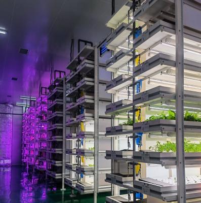 China US 9.99/Piece JX-H0032 Vertical Hydroponic Shipping Container Greenhouse for Vegetables for sale