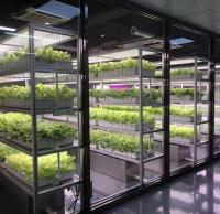 China US 9.99/Piece JX-H0032 Vertical Hydroponic Shipping Container Greenhouse for Vegetables for sale