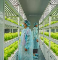 China US 9.99/Piece JX-H0032 Vertical Hydroponic Shipping Container Greenhouse for Vegetables for sale