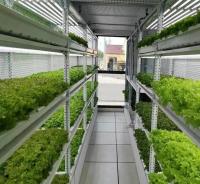 China US 9.99/Piece JX-H0032 Vertical Hydroponic Shipping Container Greenhouse for Vegetables for sale