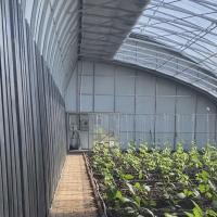 China Package Gross Weight 100.000kg JX-A00215 Hydroponics Flower Planting Vegetable Production for sale