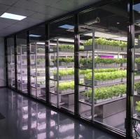 China Department Shipping Container Greenhouse LED Lighting Solution for Vegetable Planting for sale
