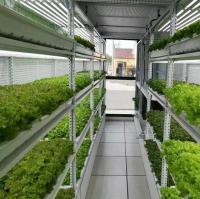 China Department Shipping Container Greenhouse LED Lighting Solution for Vegetable Planting for sale
