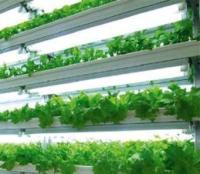 China Greenhouse Hydroponic Vertical Farming Container System in 40FT Container 40HQ Reefer for sale