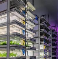 China Greenhouse Hydroponic Vertical Farming Container System in 40FT Container 40HQ Reefer for sale