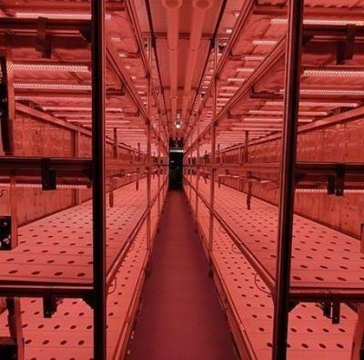 China Steel Cover Material Hydroponic Vertical Farming Container System for Shaped Roof for sale