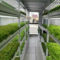 China Steel Cover Material Hydroponic Vertical Farming Container System for Shaped Roof for sale