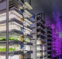 China Steel Cover Material Hydroponic Vertical Farming Container System for Shaped Roof for sale