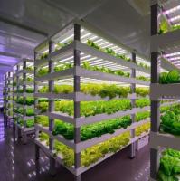 China Steel Cover Material Hydroponic Vertical Farming Container System for Shaped Roof for sale
