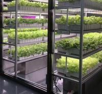 China Steel Cover Material Hydroponic Vertical Farming Container System for Shaped Roof for sale