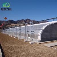 China Sunlight and Automated Irrigation for Aquaponics in Plastic Sheet Covered Greenhouse for sale