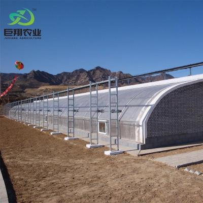 China Sunlight and Automated Irrigation for Aquaponics in Plastic Sheet Covered Greenhouse for sale