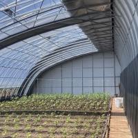 China Sunlight and Automated Irrigation for Aquaponics in Plastic Sheet Covered Greenhouse for sale