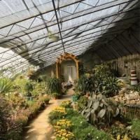 China Sunlight and Automated Irrigation for Aquaponics in Plastic Sheet Covered Greenhouse for sale