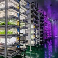 China Intelligent Temperature Control Department Shipping Container Greenhouse for Leafy Veggies for sale