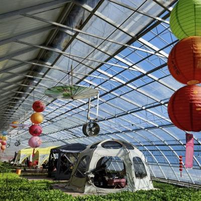 China US Currency Double or Single Layer Vegetable Sunlight Greenhouse System within Budget for sale