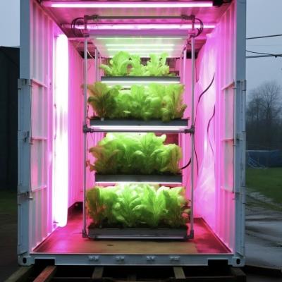 China US 10000/Piece Greenhouse Container Roofing Sheet for Leafy Greens 1 Piece Min.Order for sale