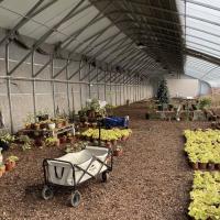 China Vegetable Strawberry Greenhouse Large Size Package Size 50.00cm * 60.00cm * 50.00cm for sale