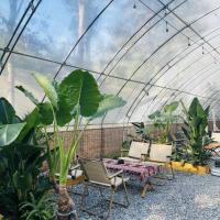 China Vegetable Strawberry Greenhouse Large Size Package Size 50.00cm * 60.00cm * 50.00cm for sale