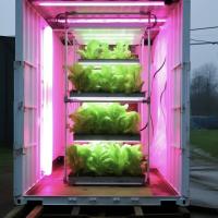 China 18000.000kg Greenhouse for Leafy Veggies Package Gross Weight and Easy Return Refunds for sale