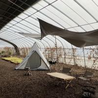 China Commercial Aquaponics Sunlight Greenhouse for Customer Requirements JX-A00223 for sale
