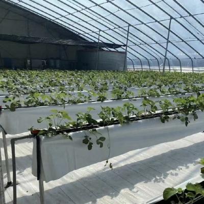 China Flower Planting Drip Irrigation System Sunlight Greenhouse with Customized Request for sale
