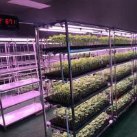 China Greenhouse Roofing Sheet for Vegetables Shipping Cost and Estimated Delivery Time for sale