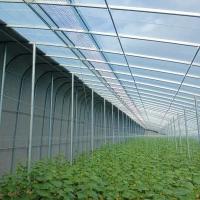 China Drip Irrigation Steel Structure Greenhouse for Vegetable and Flower Planting JX-A00227 for sale