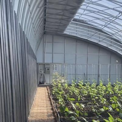 China Sparay Irrigation Seeding Sunlight Greenhouse US 20/Square Meter with Customization for sale