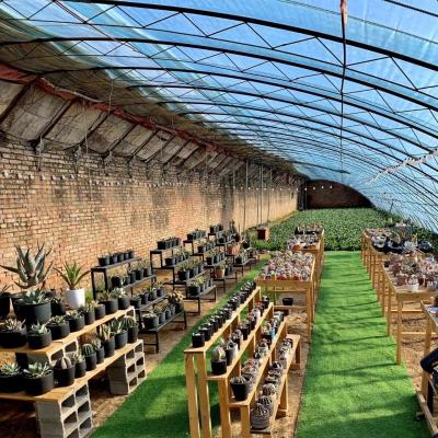 China Sunlight Greenhouse for Origin Flower Planting Package Size 50.00cm * 60.00cm * 50.00cm for sale