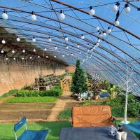 China Sunlight Greenhouse for Origin Flower Planting Package Size 50.00cm * 60.00cm * 50.00cm for sale