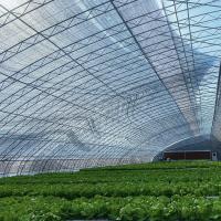 China Sunlight Greenhouse for Origin Flower Planting Package Size 50.00cm * 60.00cm * 50.00cm for sale