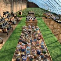 China Multi-Span Sunlight Greenhouse The Ultimate Choice for Hydroponic Vegetable Production for sale