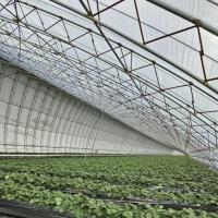 China Shipping Cost and Estimated Delivery Time for Commercial Hydroponic Seeding Greenhouse for sale