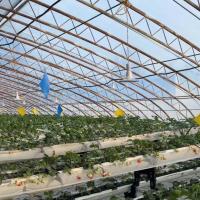 China Shipping Cost and Estimated Delivery Time for Commercial Hydroponic Seeding Greenhouse for sale