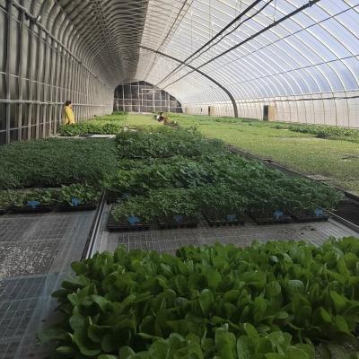 China 30 Days Return refunds Origin Sparay Irrigation Greenhouse for Customer Satisfaction for sale