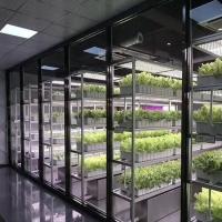 China Commercial Greenhouse Container Greenhouse The Revolutionary Way to Grow Leafy Greens for sale