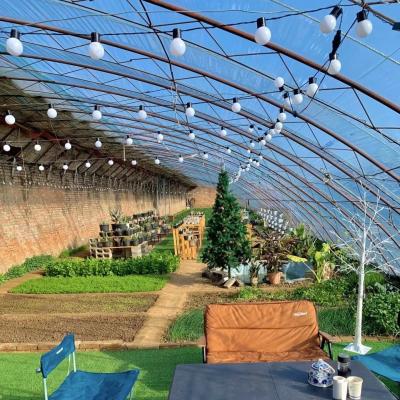 China Package Gross Weight 100.000kg Sunlight Greenhouse Drip Irrigation for Flower Planting for sale