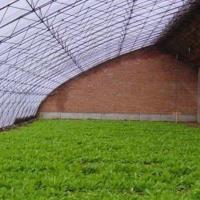 China Advanced Humidity Control and Sunlight System for Vegetables in Commercial Greenhouse for sale