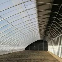 China Humidity Controlled Sunlight Greenhouse for Large Tomato Cucumber Cultivation in Sand for sale