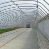 China Humidity Controlled Sunlight Greenhouse for Large Tomato Cucumber Cultivation in Sand for sale