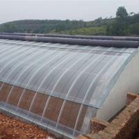 China Arched Roof Greenhouse The Ultimate Sunlight Solution for Tomato and Cucumber Farming for sale