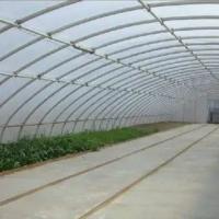 China Optimized Irrigation System for Cucumber Sunlight Greenhouse 1 Square Meter Min.Order for sale