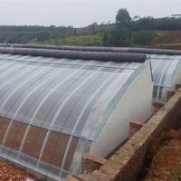 China 2000.000kg Package Gross Weight Advanced Vegetable Growing Sunlight Greenhouse System for sale