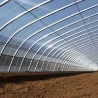 China Full Payment Juxiang prime s Illuminate Sunlight Greenhouse for Tomato Film Cover Material for sale